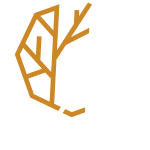 正月太りは「最初の1ヶ月」が勝負！定着する前に脂肪を燃やすスケジュール - 高地トレーニングスタジオSOLERA 京都四条烏丸店